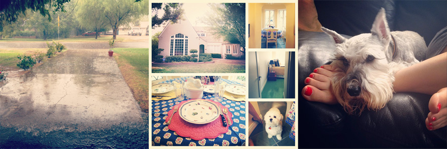 Frivolous Friday vol. 80 - Huntsville, Phoenix, Scottsdale, Nashville ...